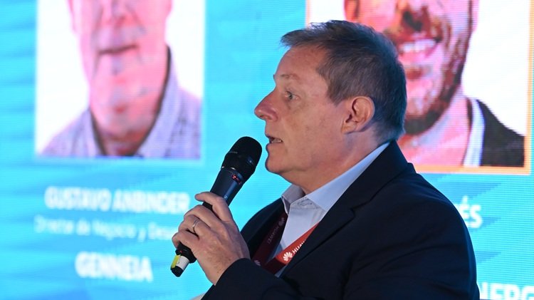 Banks line up to fund Argentina’s top renewable player as it targets 2 ...